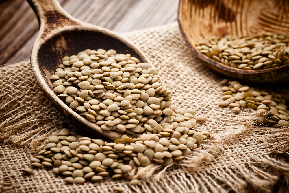 Monsic Lentils | EU-Japan Centre